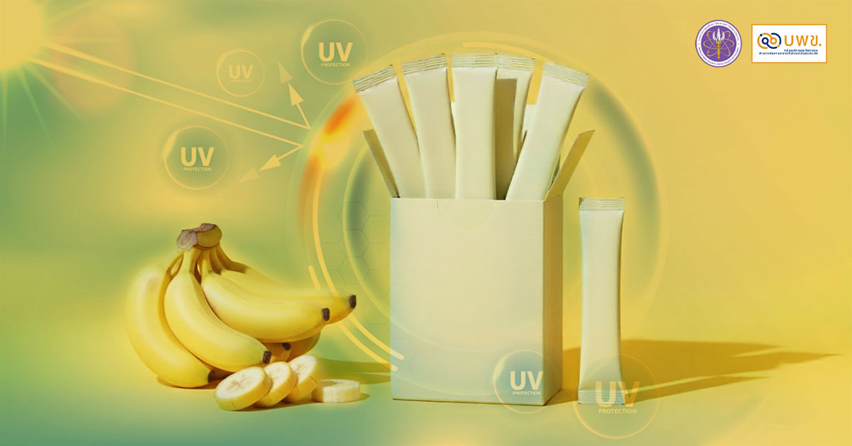 บพข. หนุนงานวิจัย ม.นเรศวร ‘Banana Powder Shots Sun Protection’ พร้อม ...
